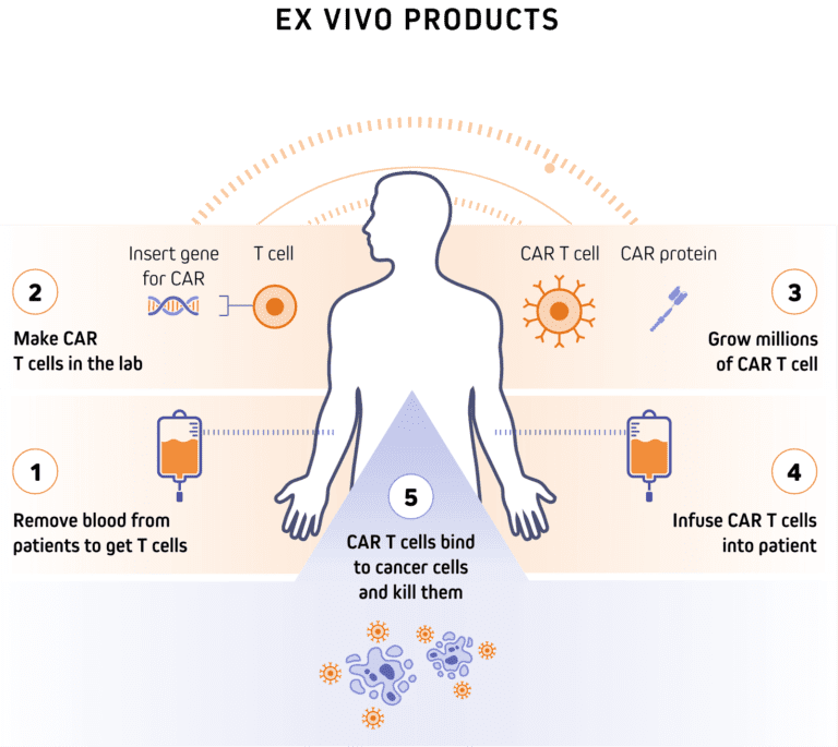 Cell targeting in vivo: right cell, right payload, right disease | Interius