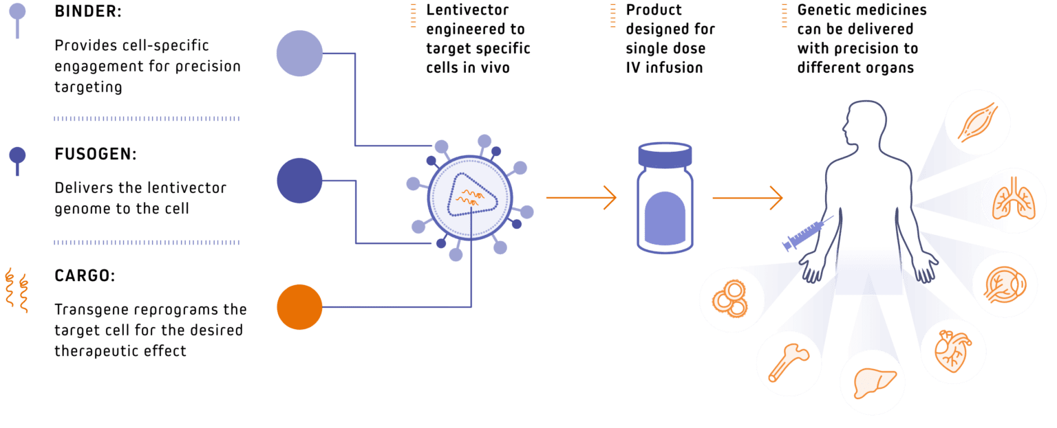 Our lentiviral vector platform enables off-the-shelf genetic medicines ...